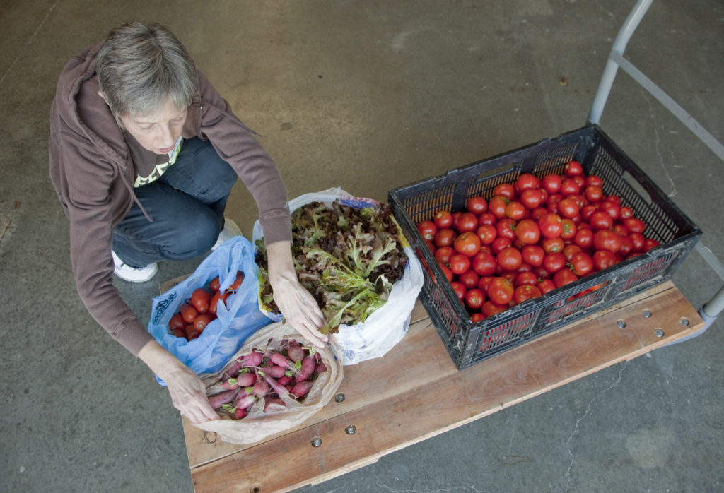 Produce growers have bountiful season | News, Sports, Jobs - Lawrence ...